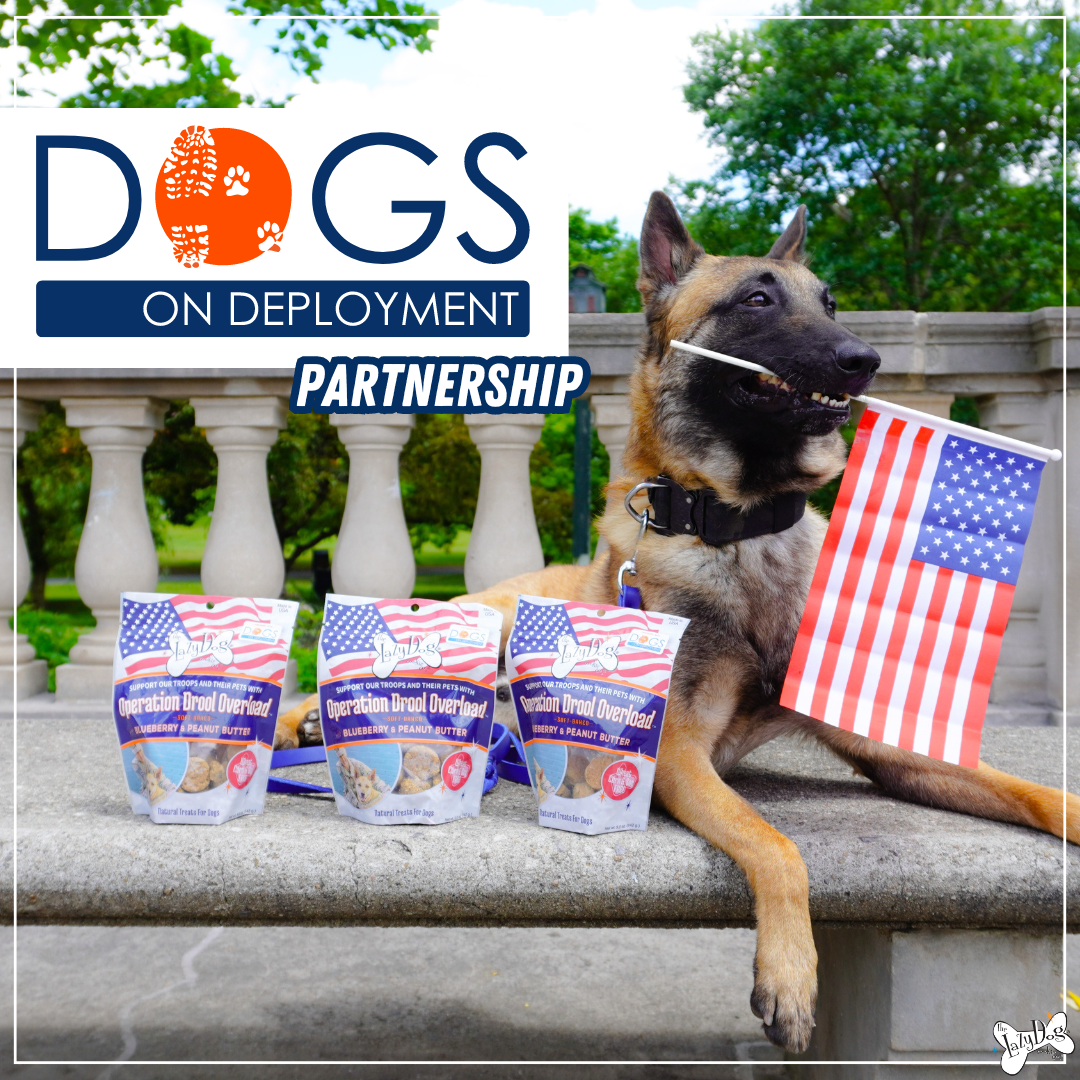 Supporting Our Military and Their Beloved Pets: The Pivotal Role of Do ...