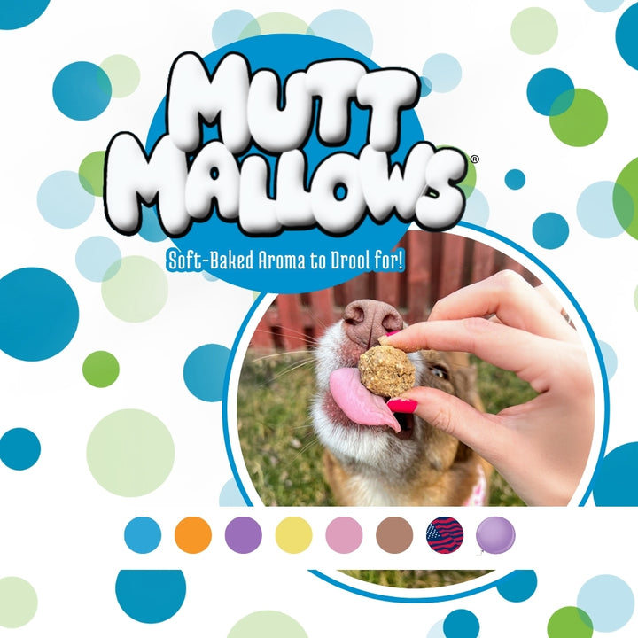 Natural Dog Treats and Birthday Pup-PIE's® for Dogs – The Lazy Dog ...